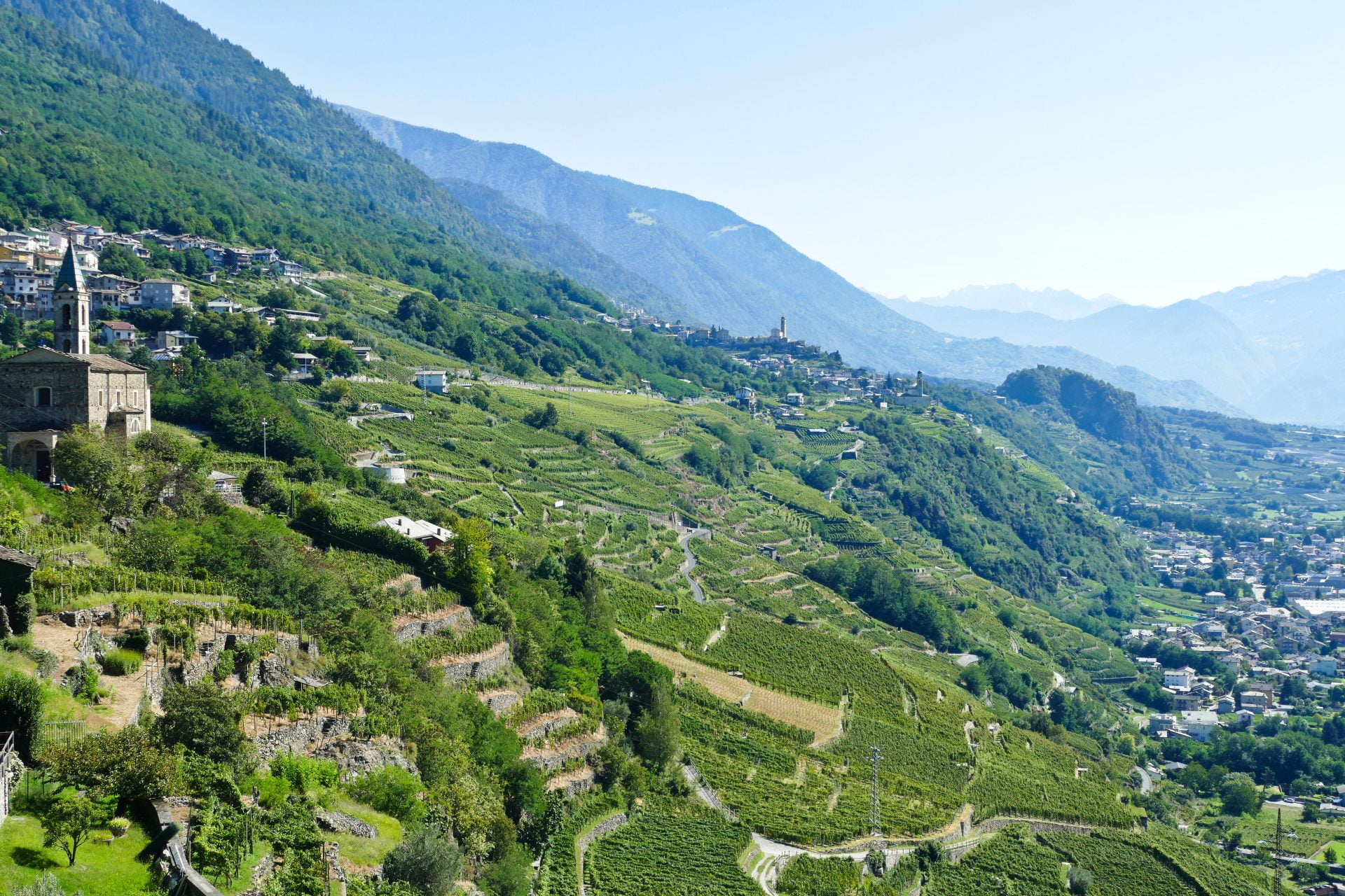 Visitare una cantina in Valtellina: Tenuta La Gatta | My Scratch Map ...